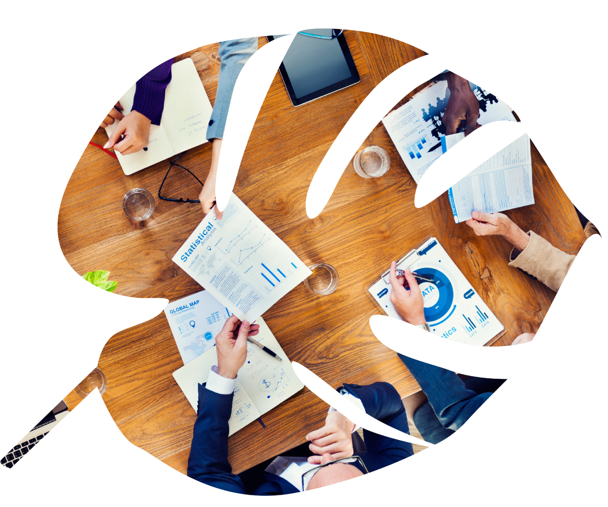 Expertise Comptable - Cacoges